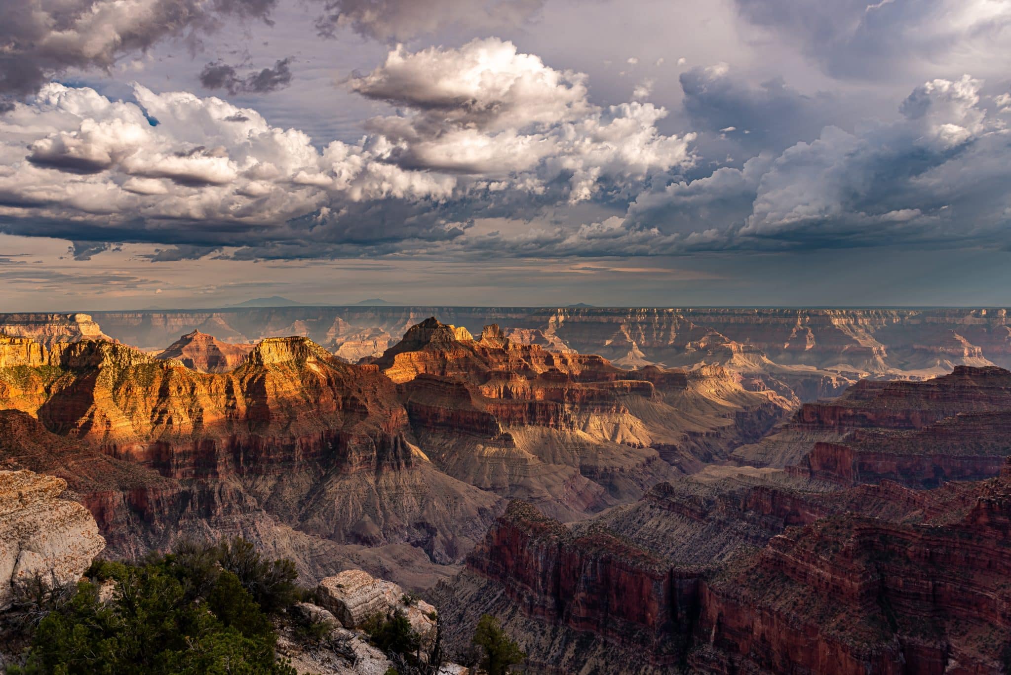 Ultimate Arizona Itinerary: Grand Canyon, Petrified Forest & Saguaro ...