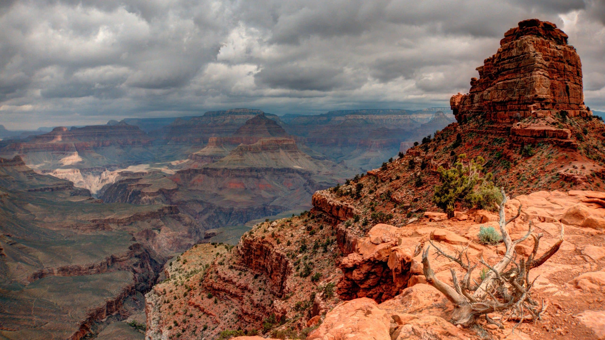 Ultimate Arizona Itinerary: Grand Canyon, Petrified Forest & Saguaro ...