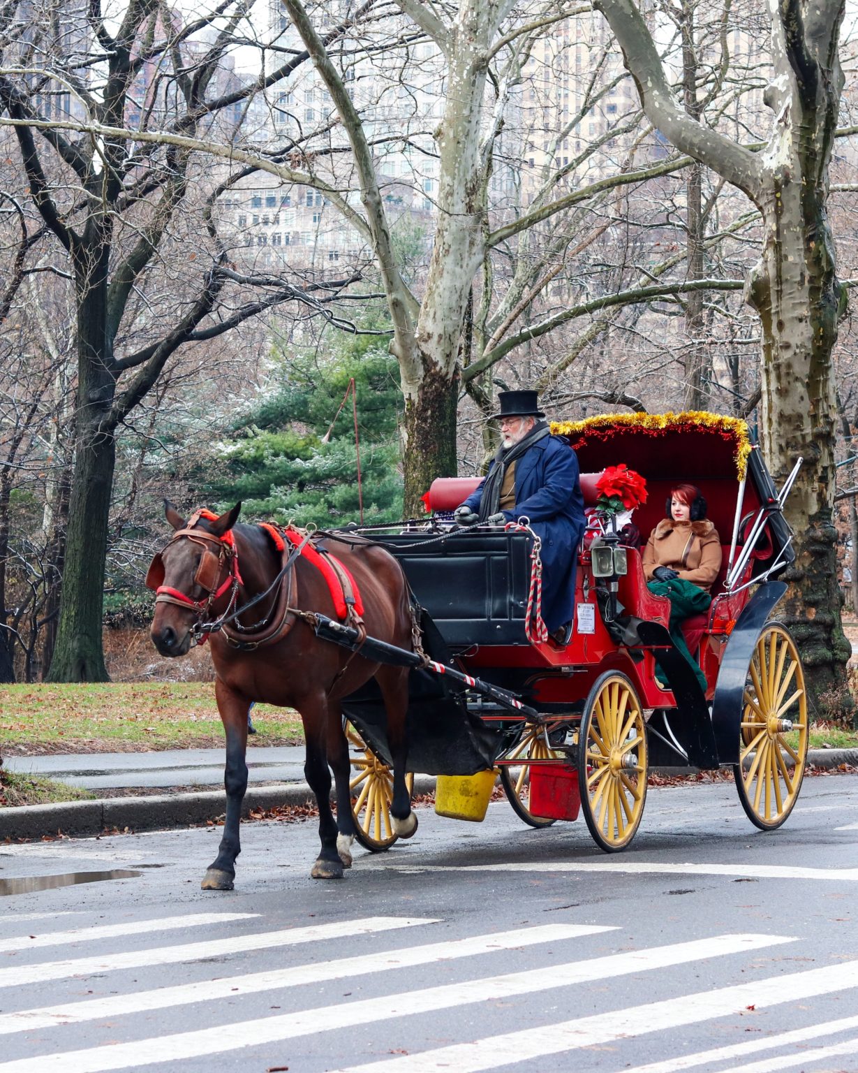 5 Magical Towns Guaranteed to Fill You with Holiday Cheer • The ...